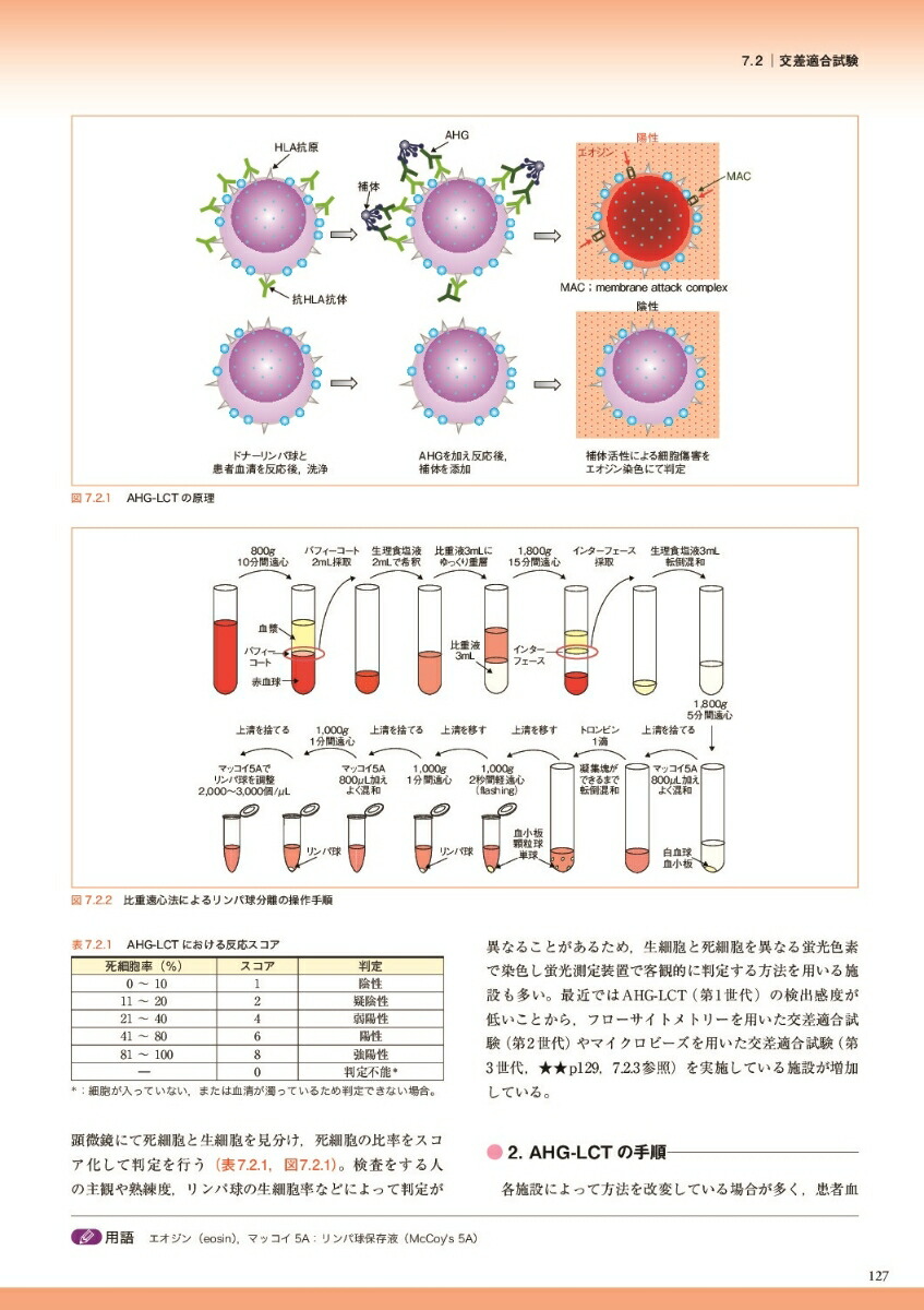 楽天ブックス 輸血・移植検査技術教本 第2版 一般社団法人 日本臨床衛生検査技師会 9784621307915 本